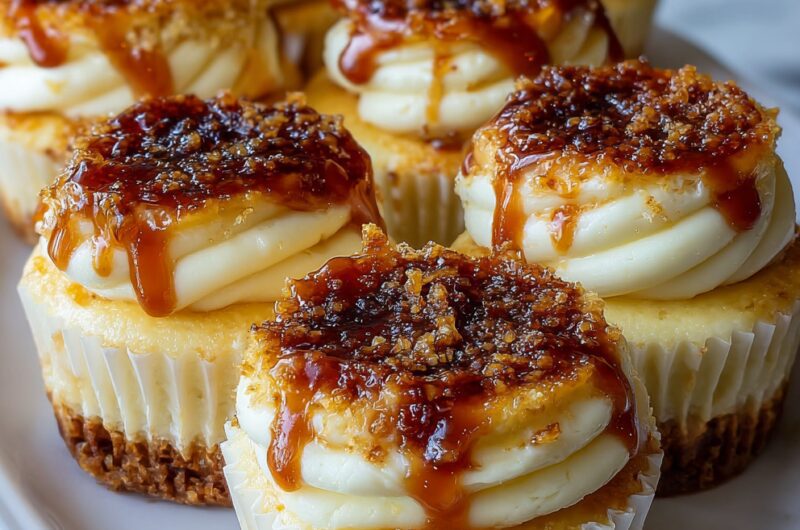 Vanilla Bean Crème Brûlée Cheesecake Cupcakes - all moms recipes